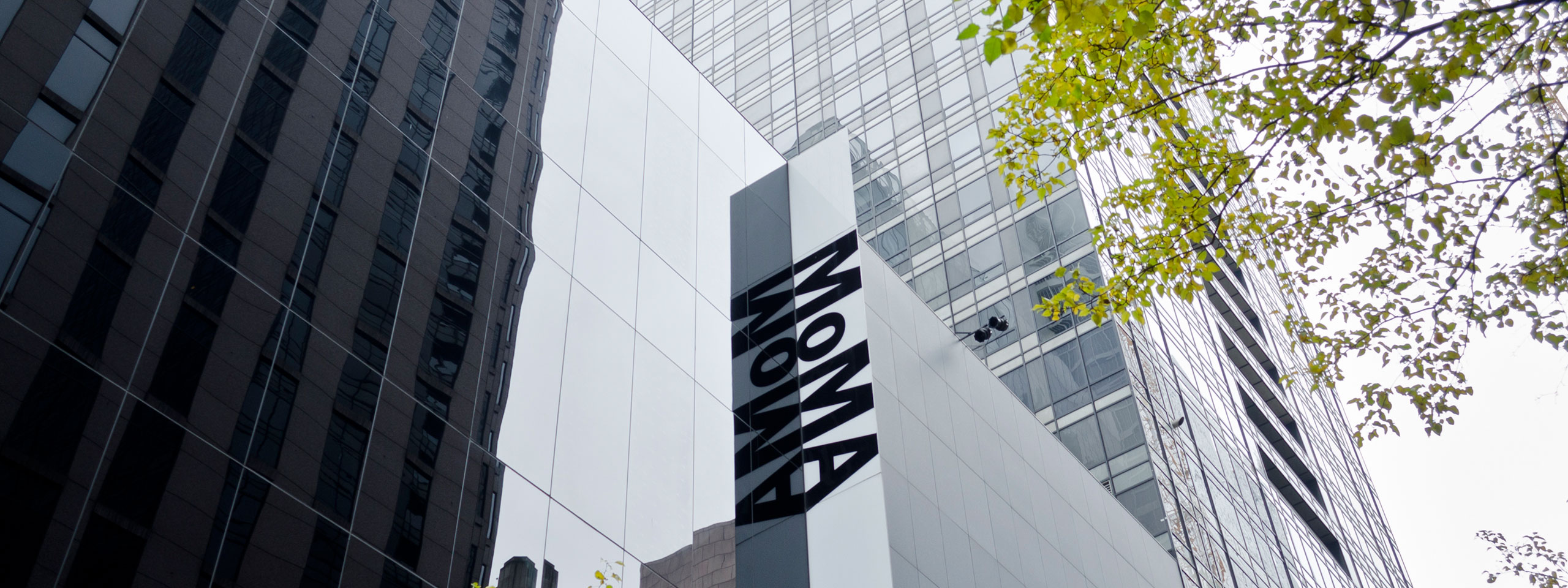 molo paper softwall inclusion in MoMA permanent collection