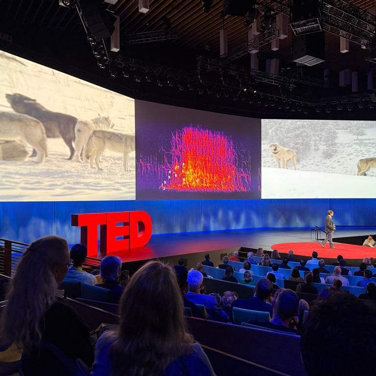 paper softwall stage backdrop for TED2025 · Vancouver - molo